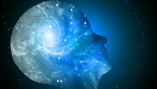 Universe Is Like Giant Brain | Gnostic Warrior